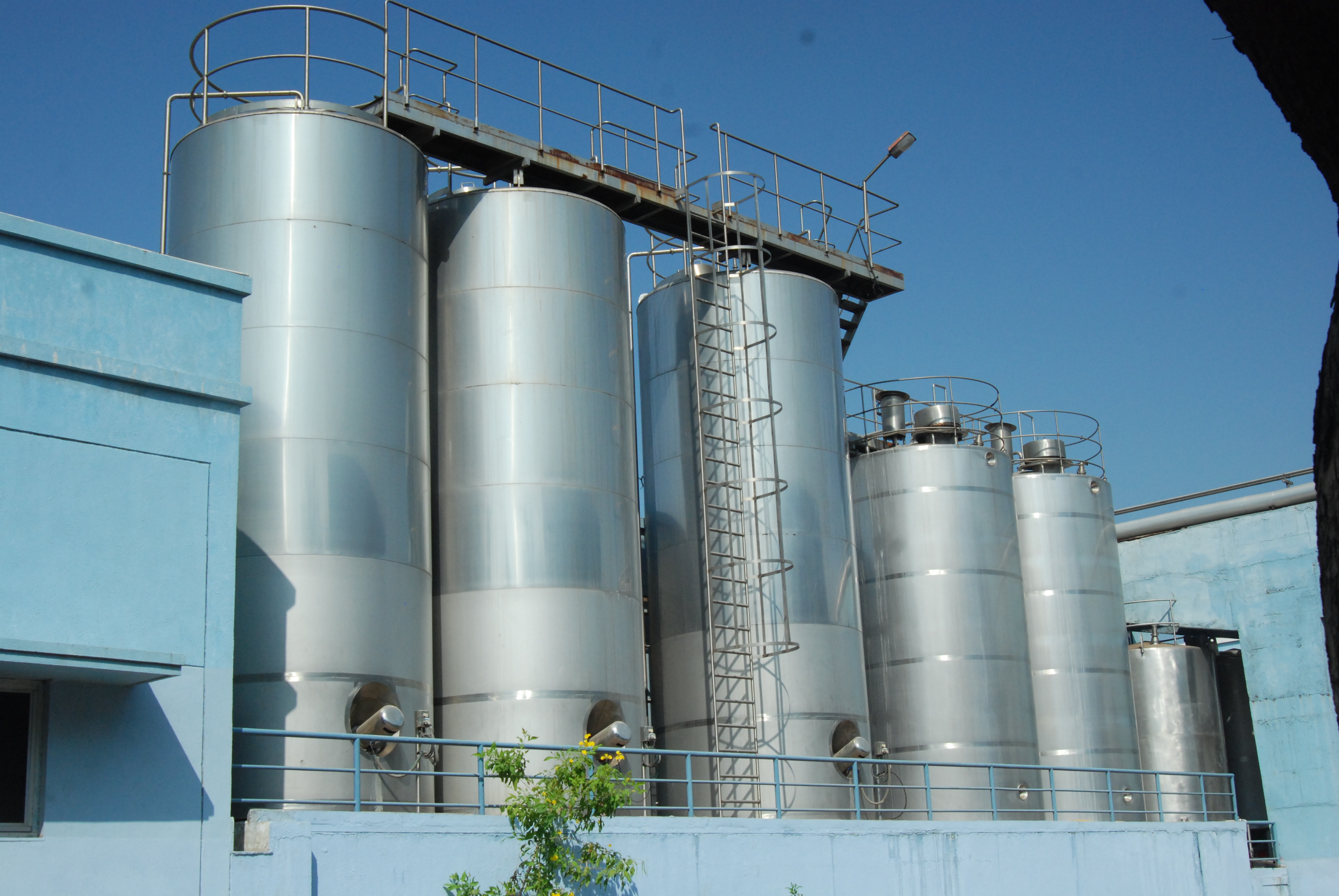 Welcome to Amul Plant Visit, Official Website